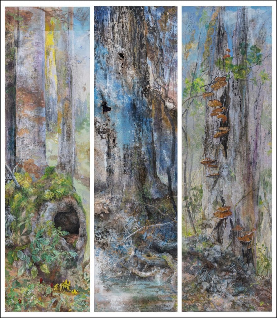 "Day" "Night" and "Renew" (Tree Portraits, Triptych) - Clare Hirn Art